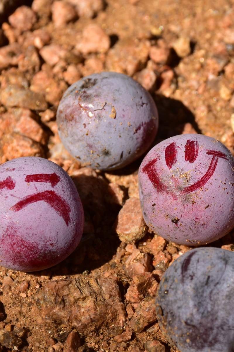 Navigating the Green-Eyed Monster: Handling Jealousy in Friendships ...